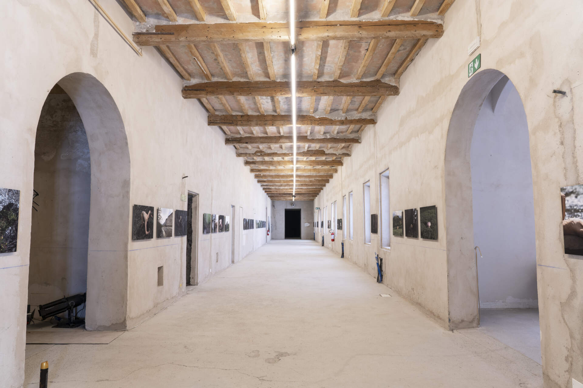 Il Bestiario della Terra, continua il viaggio di Yuval Avital per il ...