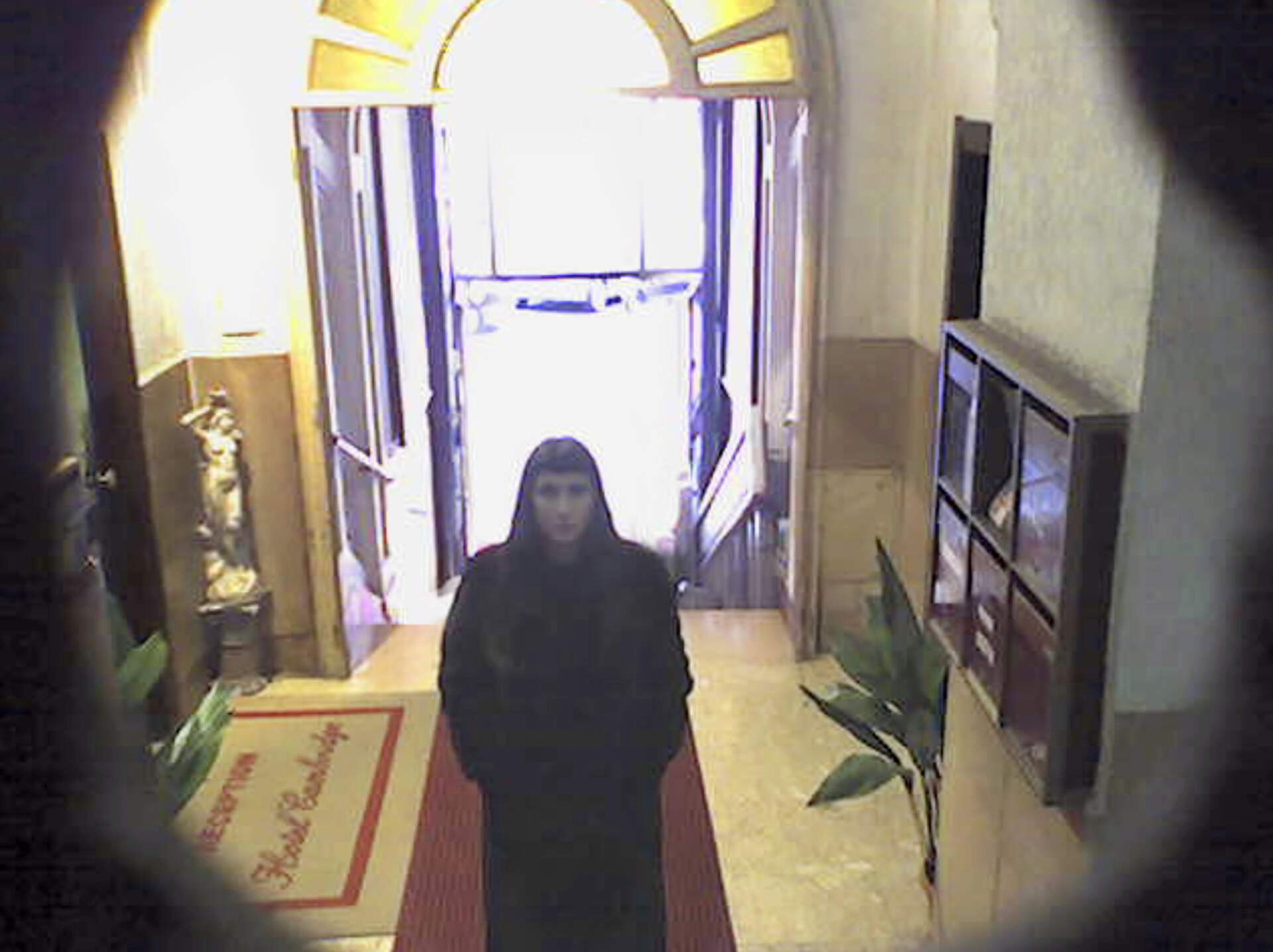 Irene Fenara, al MACTE una poetica della sorveglianza