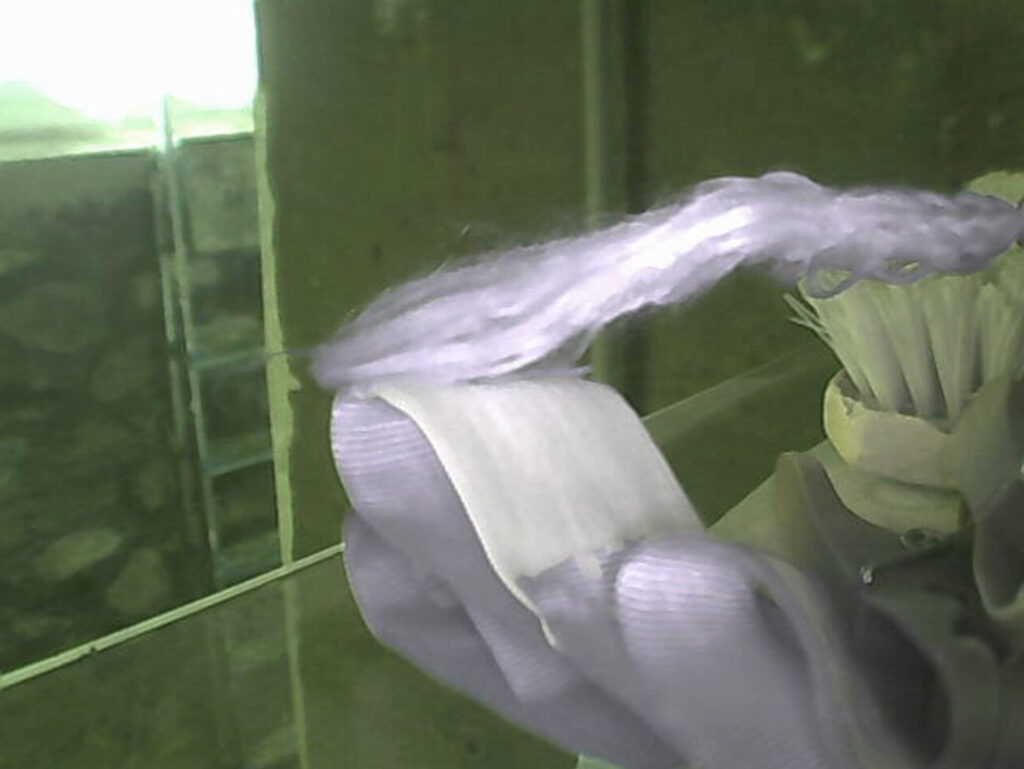 Irene Fenara, al MACTE una poetica della sorveglianza