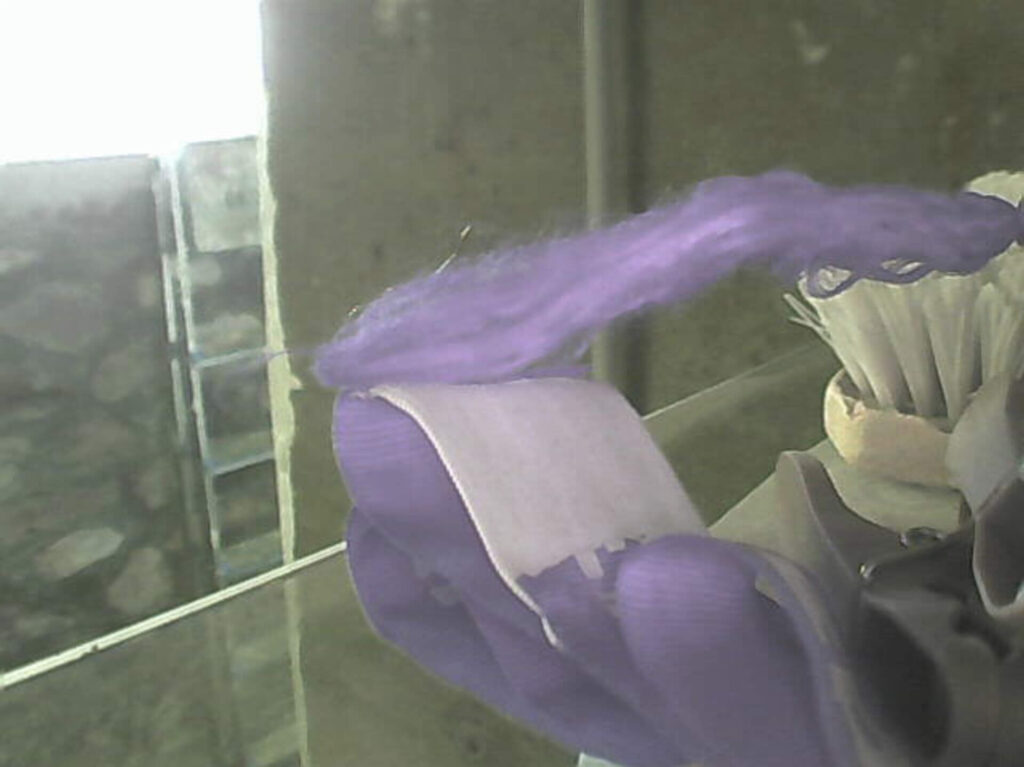 Irene Fenara, al MACTE una poetica della sorveglianza