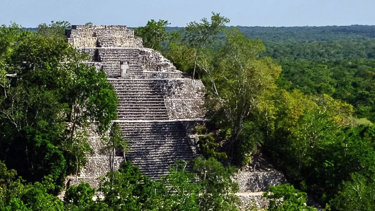 Messico, scoperta un'antica città maya in una foresta