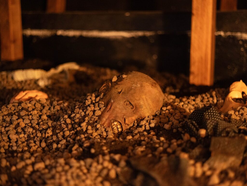 Viaggio horror nel museo dei serial killer